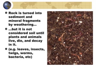 The Earth’S Crust #9 Soil | PPT