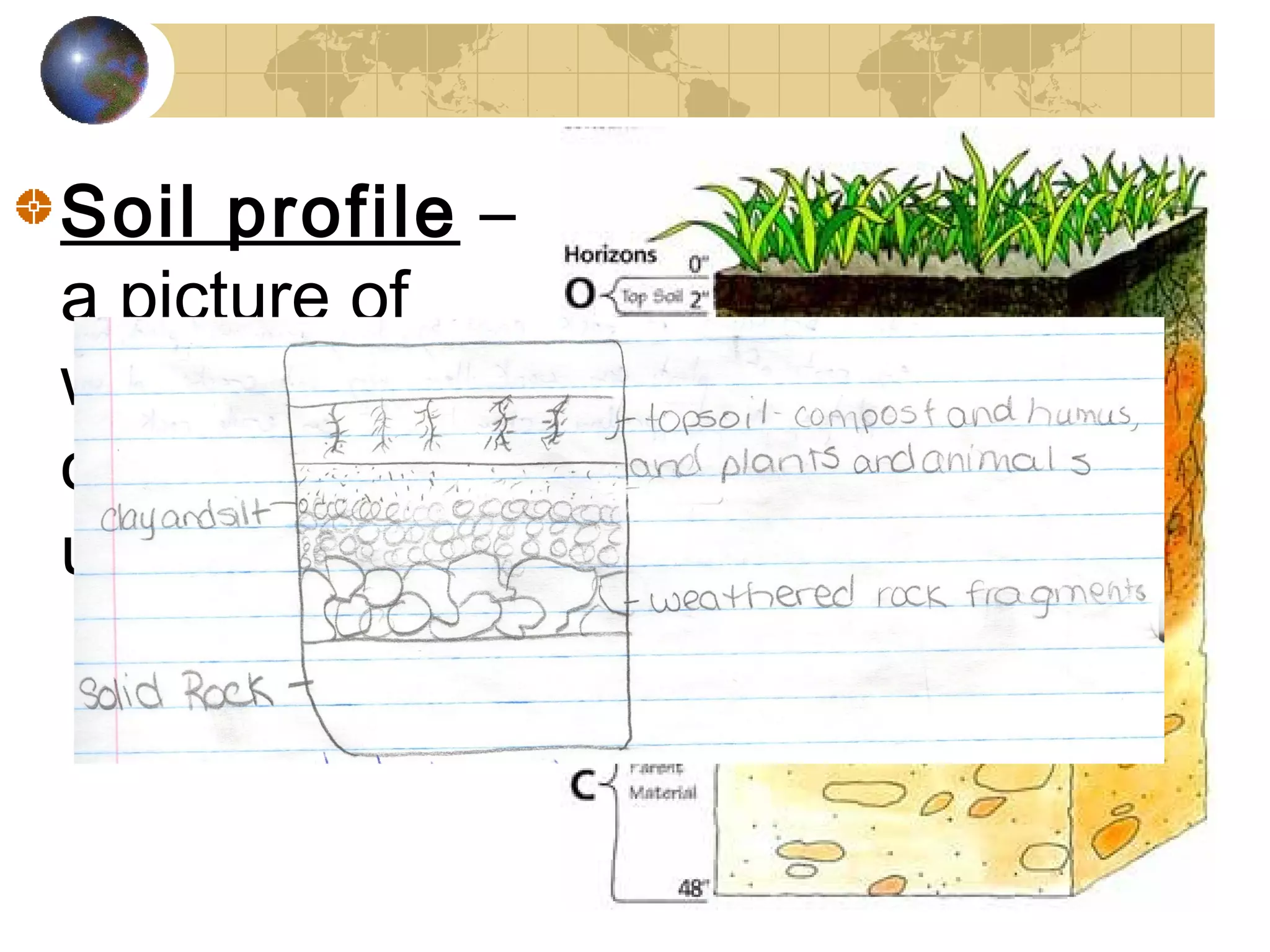 The earths crust soil | PPT