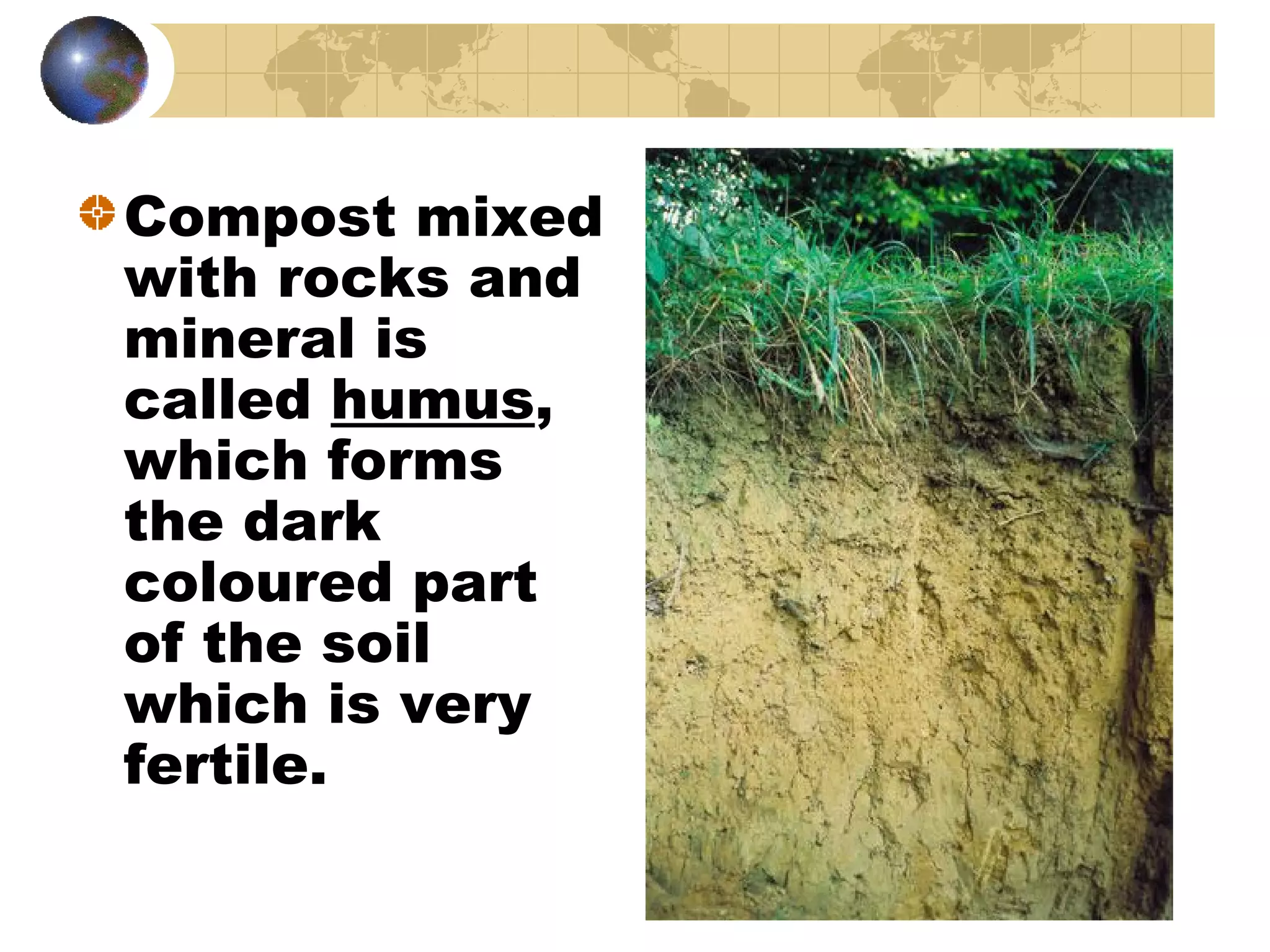 The earths crust soil | PPT