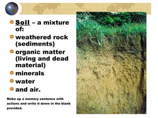 The earths crust soil | PPT