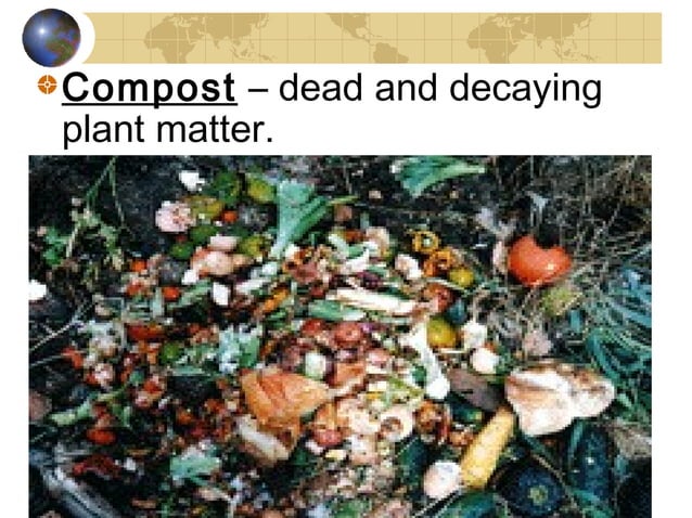 The earths crust soil | PPT