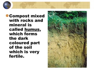 The earths crust soil | PPT