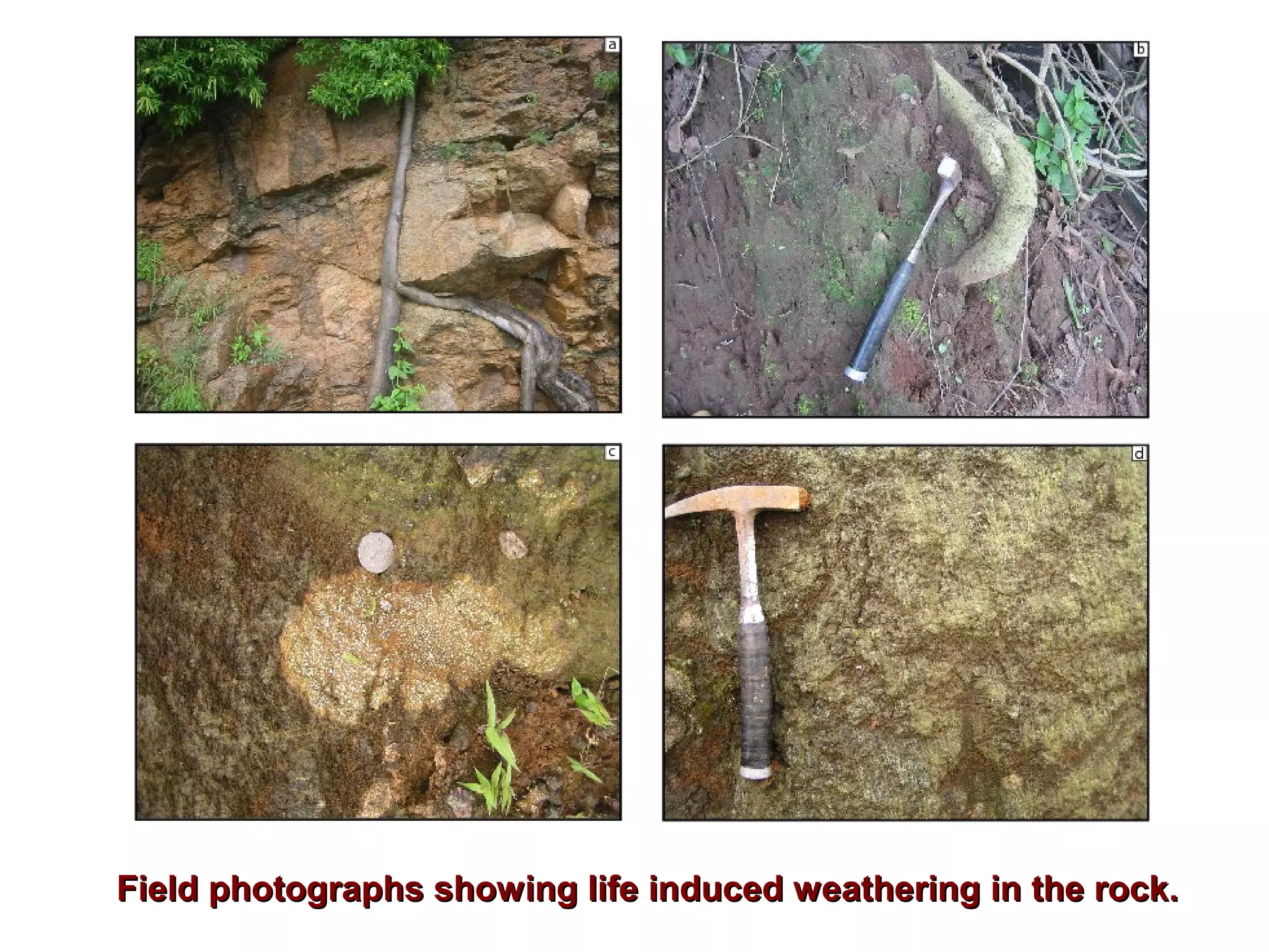The earths engine tectonics, weathering and erosion (2) | PPT | Geology ...
