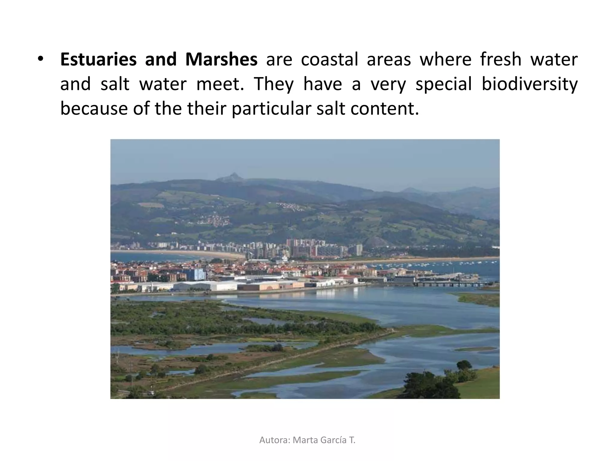 The earth’s geological activity | PPT | Geology | Science