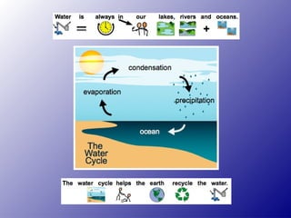The Earths Oceans | PPT | Geography | Science