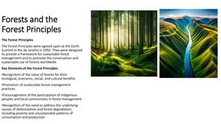 The Earth Summit 1992 PPT TEAM 3 ENVIRONMENTAL LAW.pptx