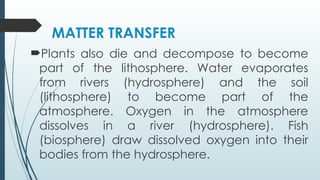 Grade 12 Earth and Life Science The Earth System.pptx