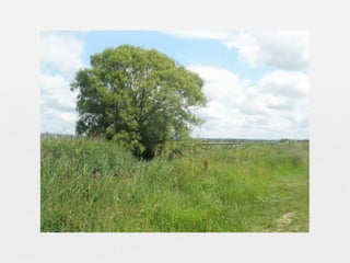 The eBook Presentation | PPT