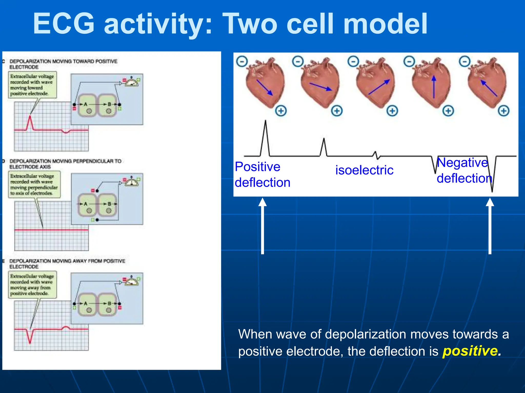 The ECG - lecture.ppt for medical students | PPT