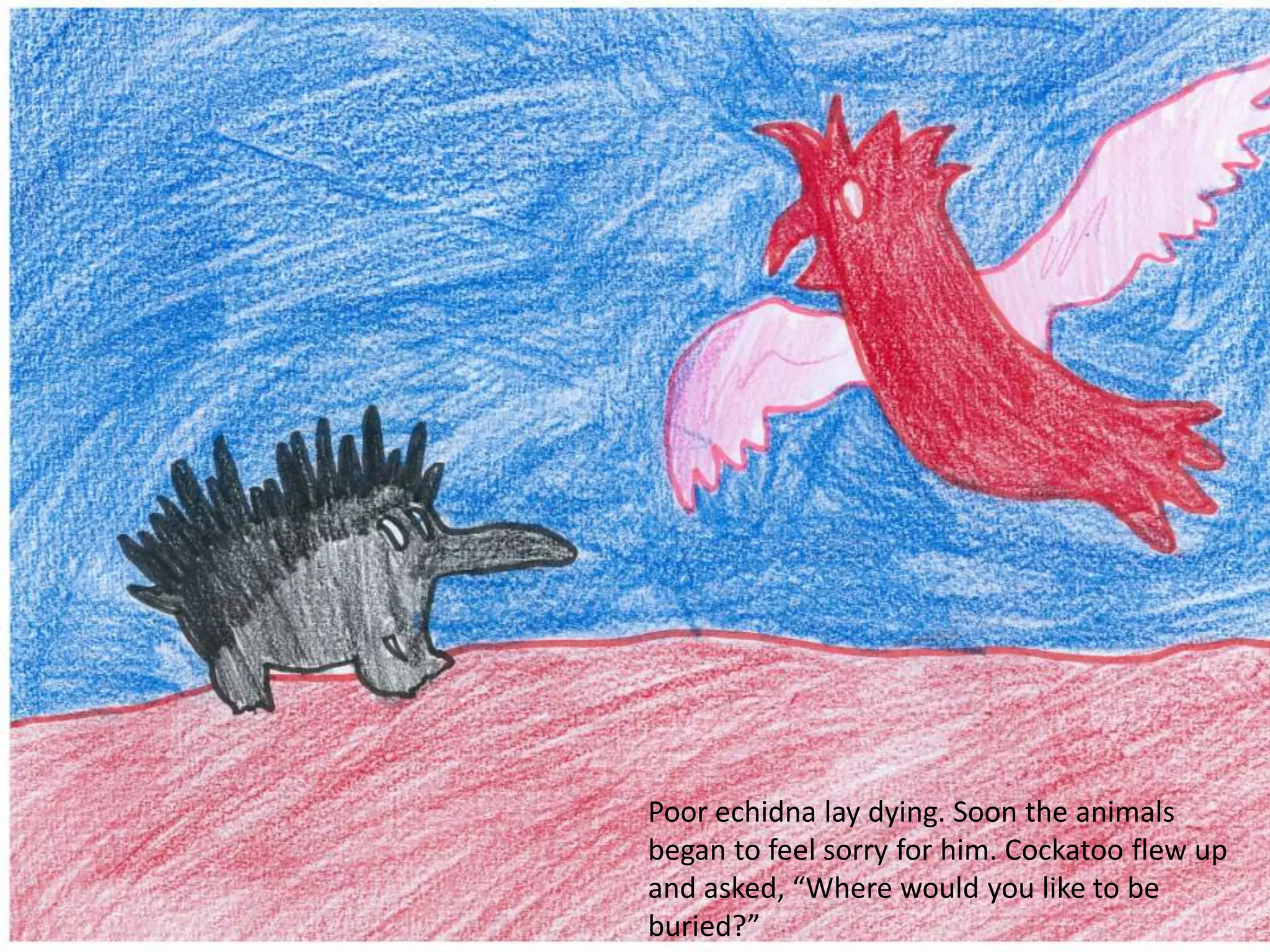 The echidna and the shade tree (compressed) | PDF