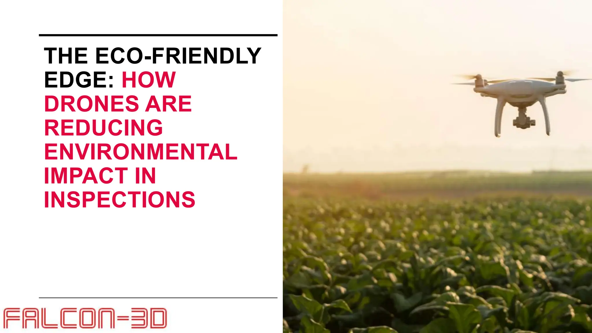 The Eco-Friendly Edge: How Drones Are Reducing Environmental Impact in ...