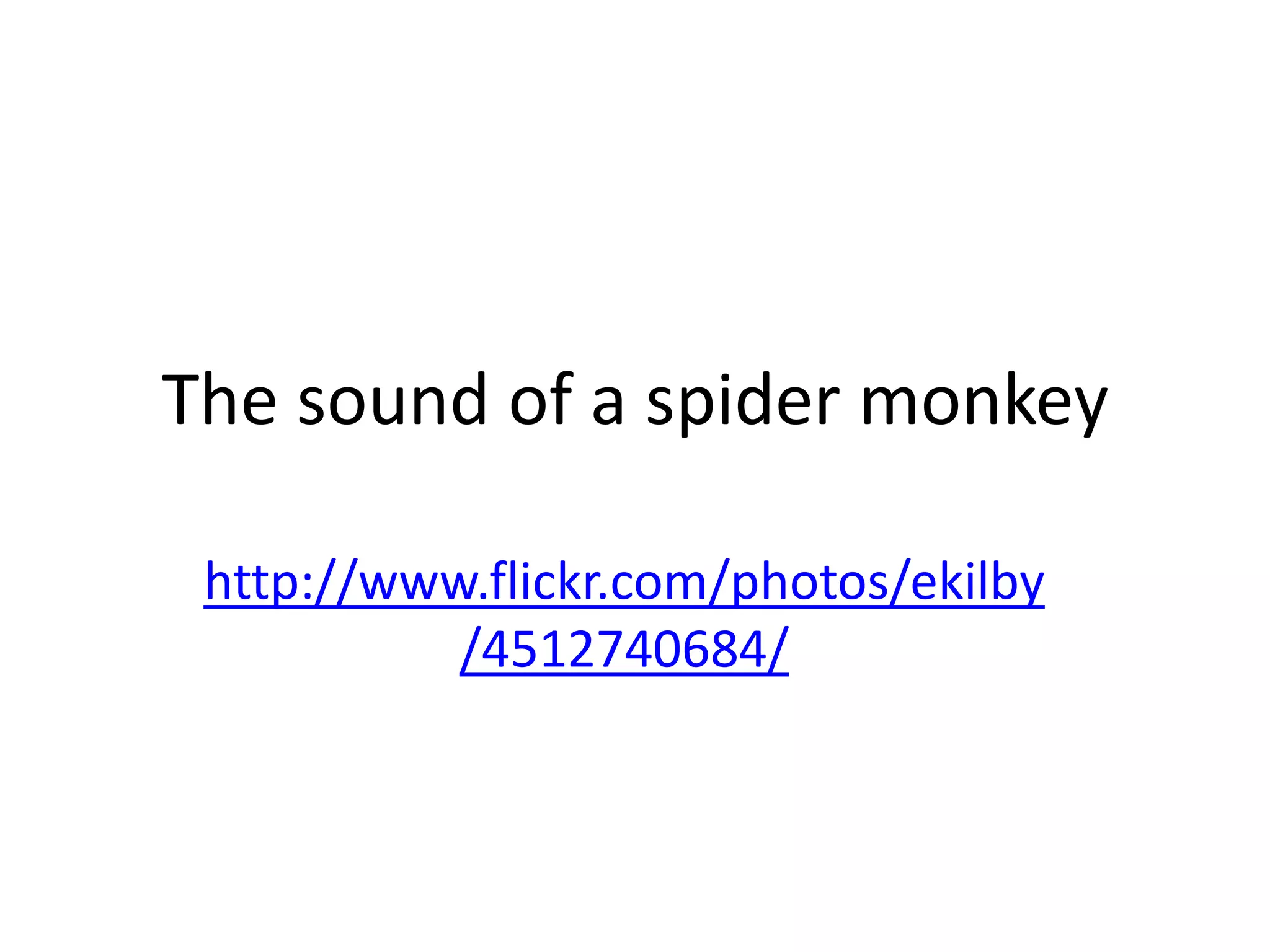 The ecology of_spider_monkeys | PPT