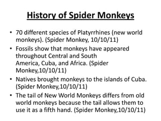 The ecology of_spider_monkeys | PPT
