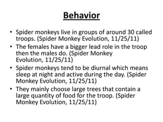 The ecology of_spider_monkeys | PPT