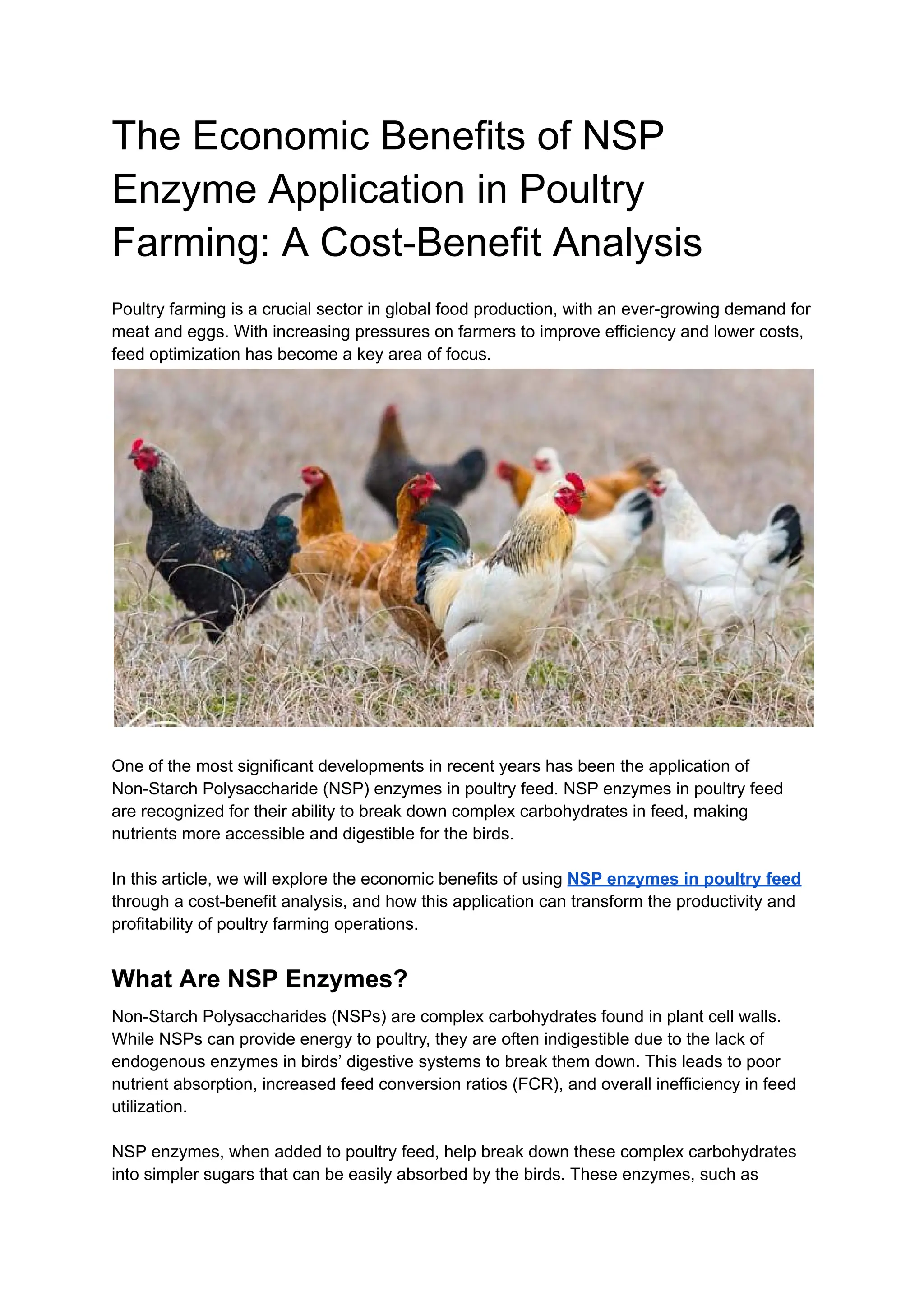The Economic Benefits of NSP Enzyme Application in Poultry Farming_ A ...