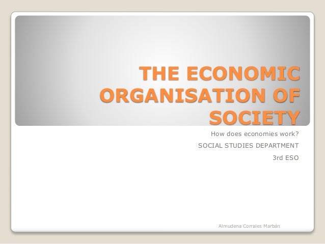 The economic organisation of society