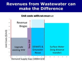 The Economics of Wastewater, by Dr. Jochen Eckart | PDF