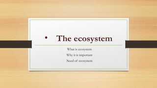 the ecosystem biology class xii bio.pptx
