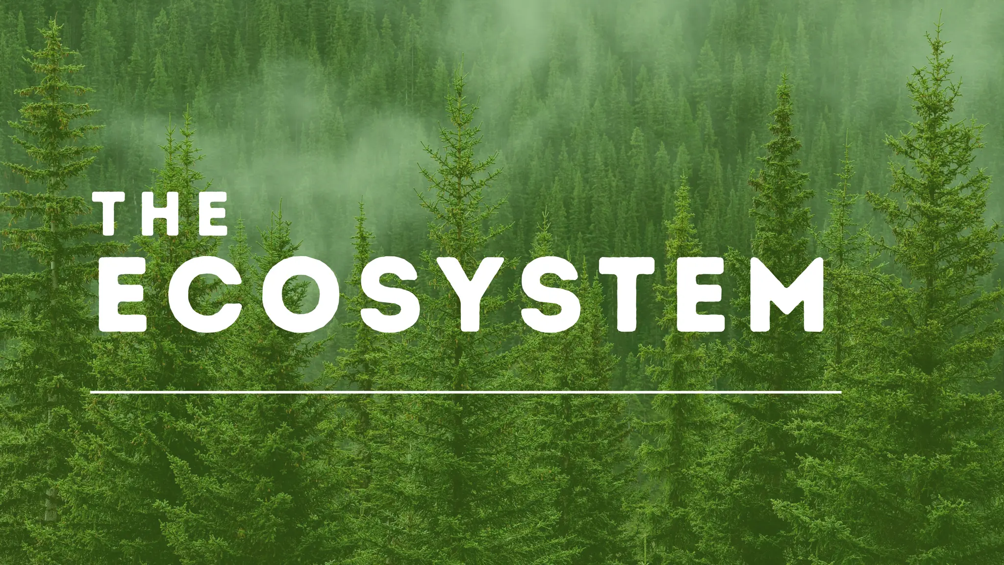 THE ECOSYSTEM and its function and types | PDF