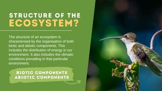 THE ECOSYSTEM and its function and types | PDF