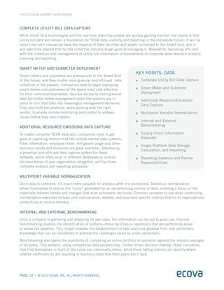The Ecova Blueprint - Total Energy and Sustainabiliity Management | PDF