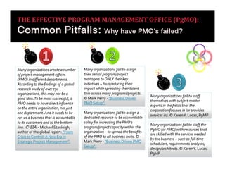 The Effective Program Management Office (PgMO) (c) 2010 | PDF ...