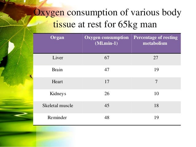 The effect of exercise on o2 consumption test
