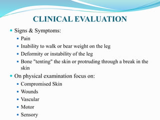 The effect of intact fibula on functional outcome of reamed ...