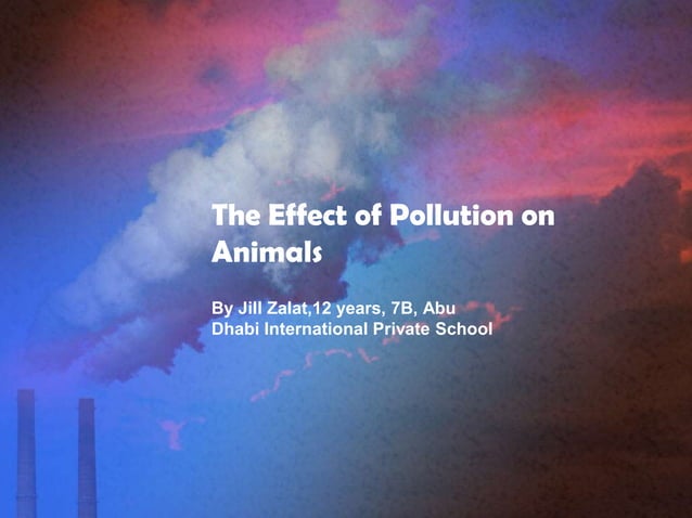 The effect of pollution on animals | PPTX | Environment | Science
