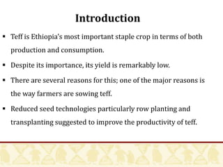 The Impact of the Promotion of Row Planting on Farmers’ Teff Yield in Ethiopia | PPT
