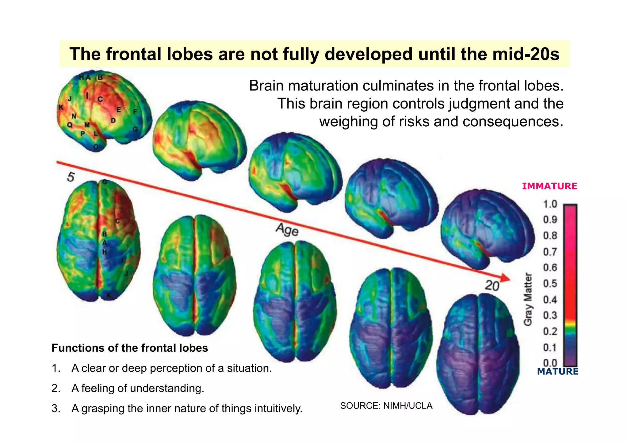 The Effect of Social Media on the Brain | PDF