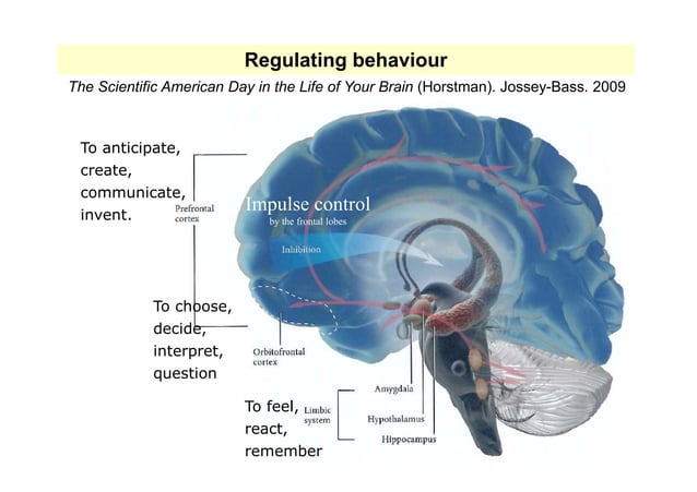 The Effect of Social Media on the Brain | PDF | Social Networking ...