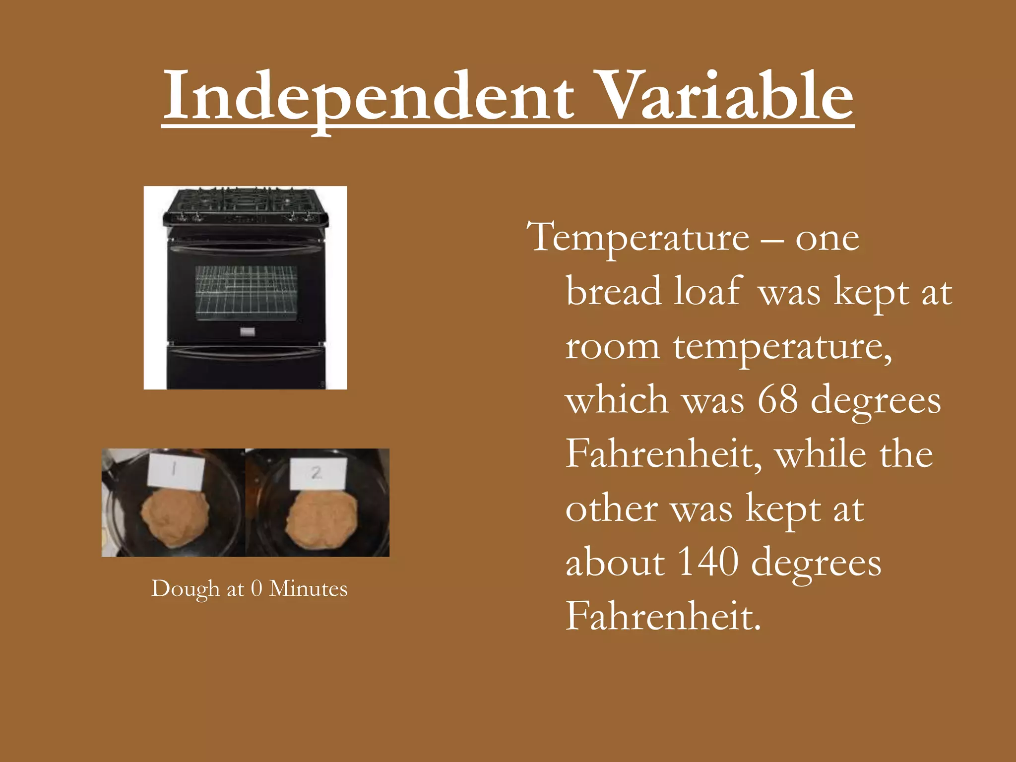 The Effect of Temperature on Bread Yeast | PPTX