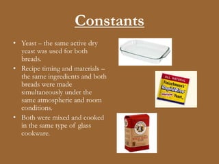 The Effect of Temperature on Bread Yeast | PPTX