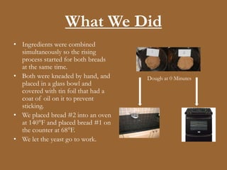 The Effect of Temperature on Bread Yeast | PPTX