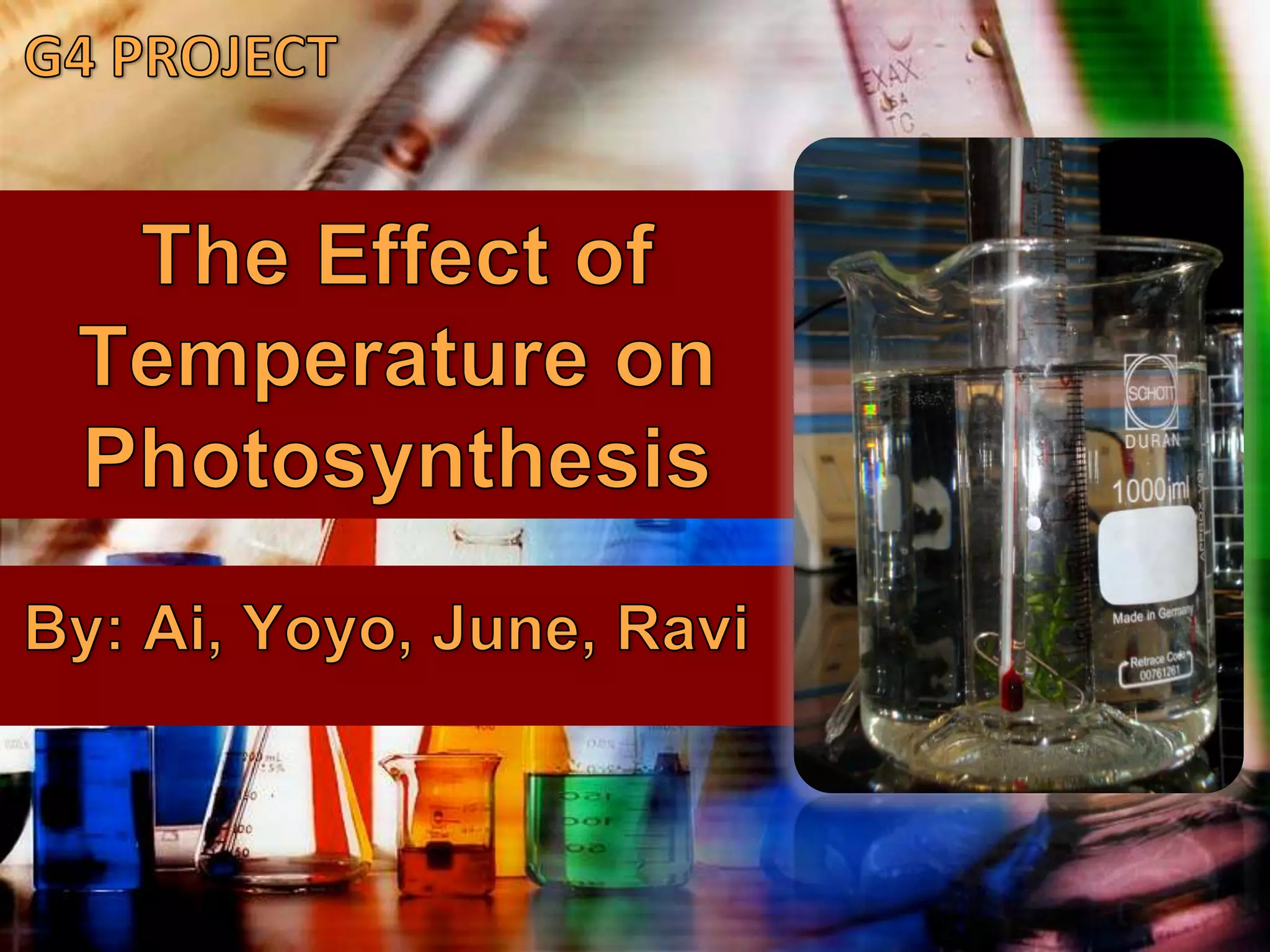 The effect of temperature on photosynthesis | PPT