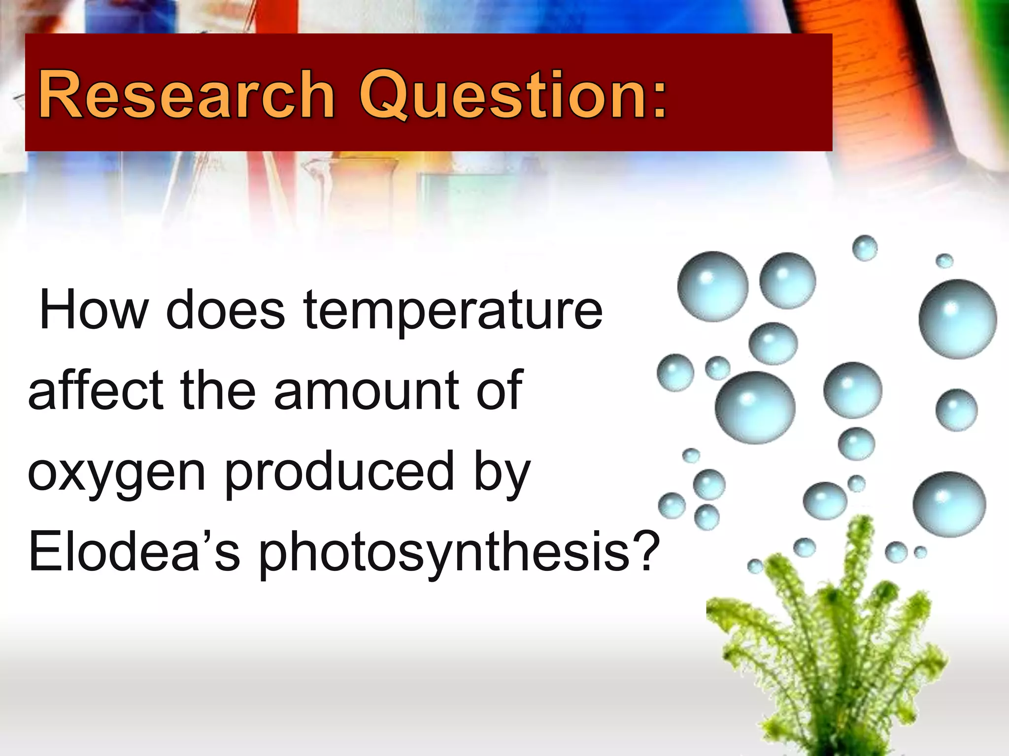 The effect of temperature on photosynthesis | PPT