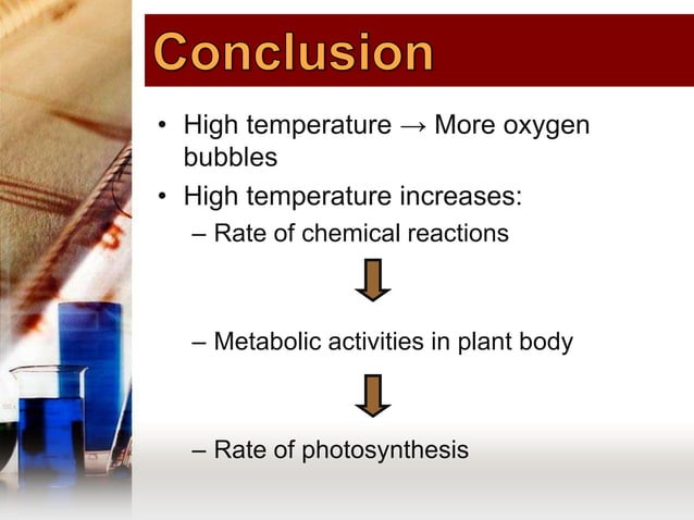 The effect of temperature on photosynthesis