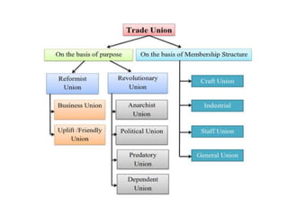 The effect of trade union presentation (1).pptx
