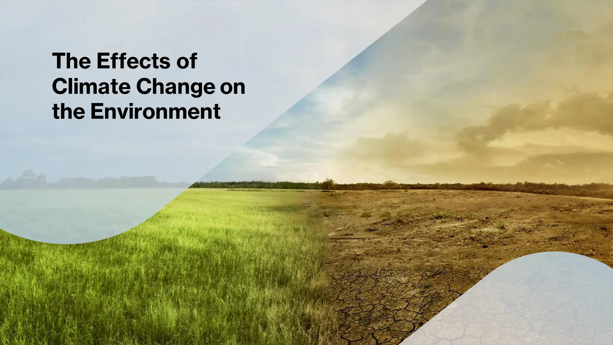 The Effects of Climate Change on the Environment | PDF
