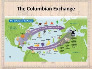 The effects of colonialism | PPTX