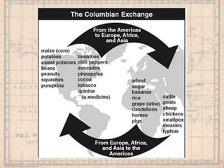 The effects of colonialism | PPTX