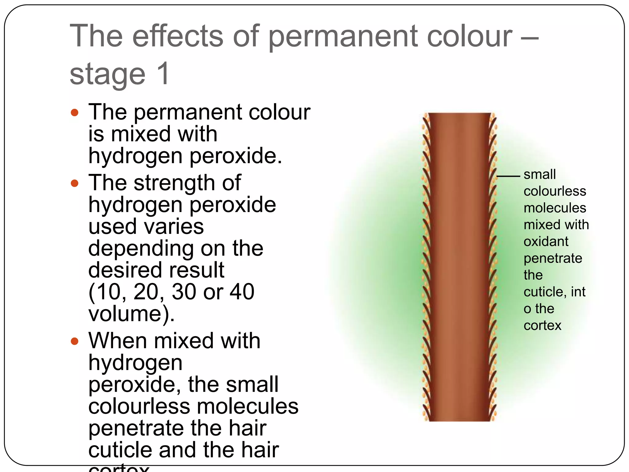 The effects of different colouring products on the | PPTX