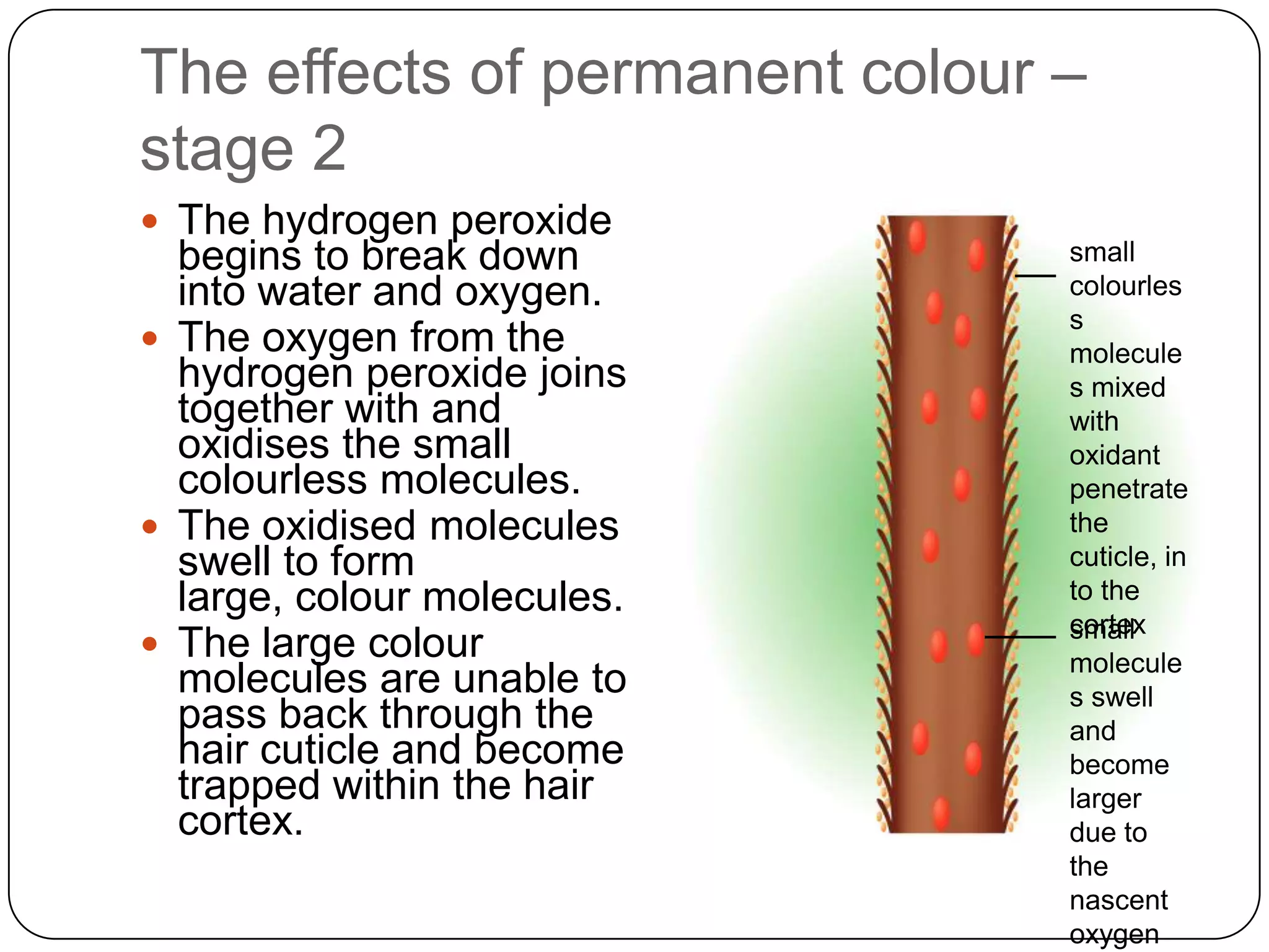 The effects of different colouring products on the | PPTX