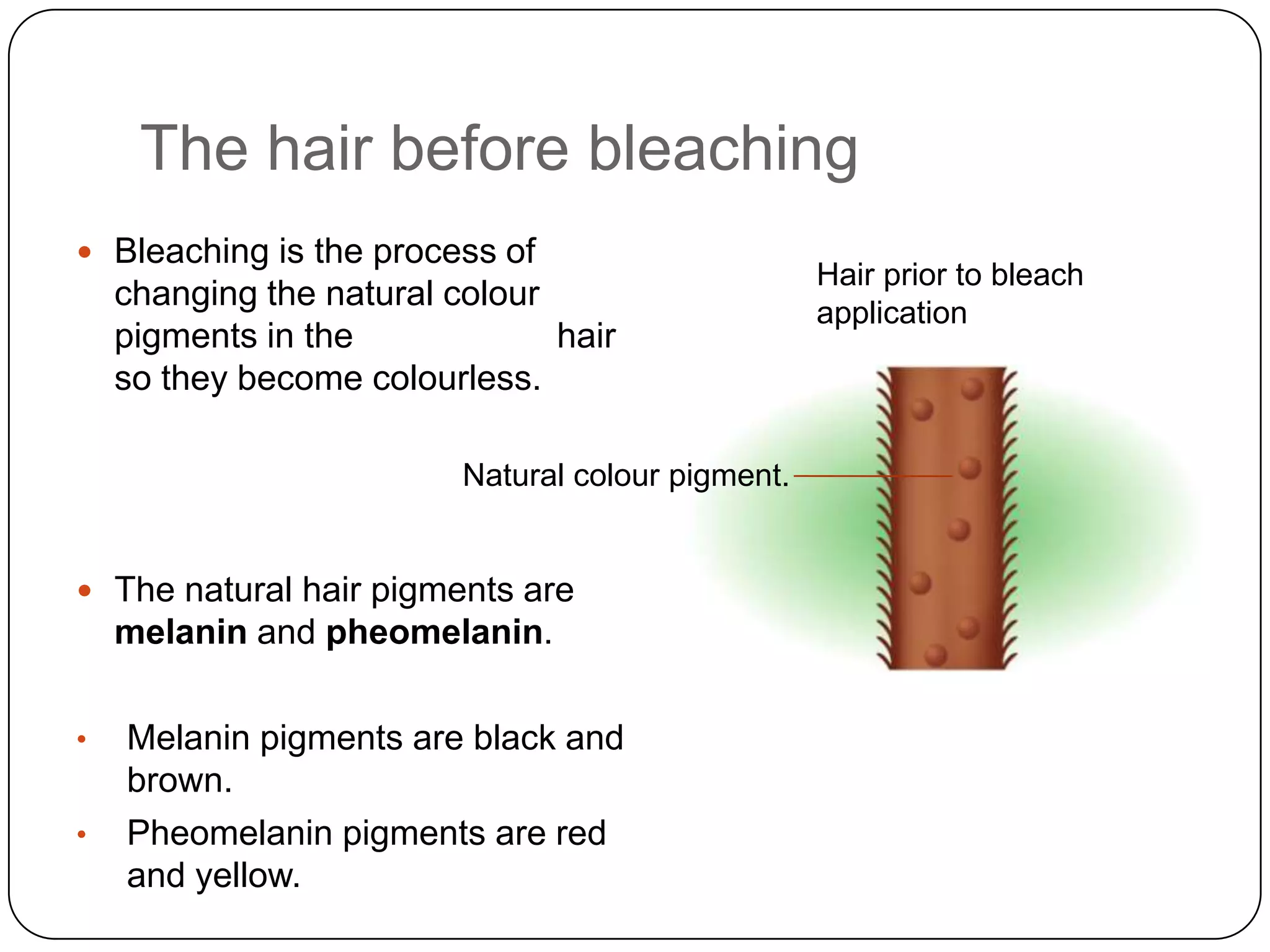 The effects of different colouring products on the | PPTX