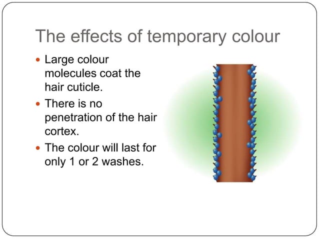 The effects of different colouring products on the | PPTX | Hair Care ...