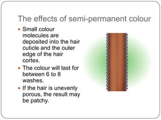 The effects of different colouring products on the | PPT