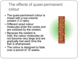 The effects of different colouring products week2 | PPTX