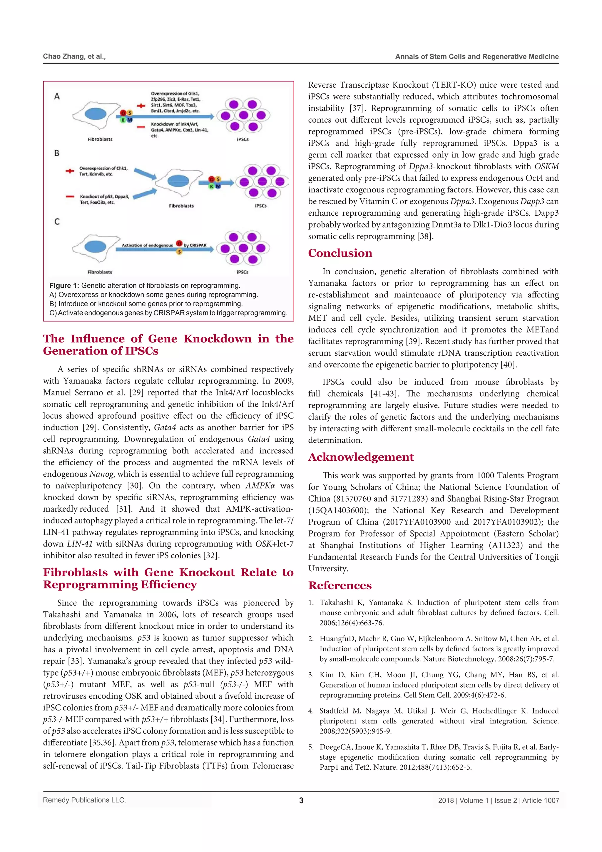 The Effects Of Genetic Alteration On Reprogramming Of Fibroblasts Into Induced Pluripotent Stem
