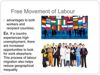 The effects of globalization | PPTX